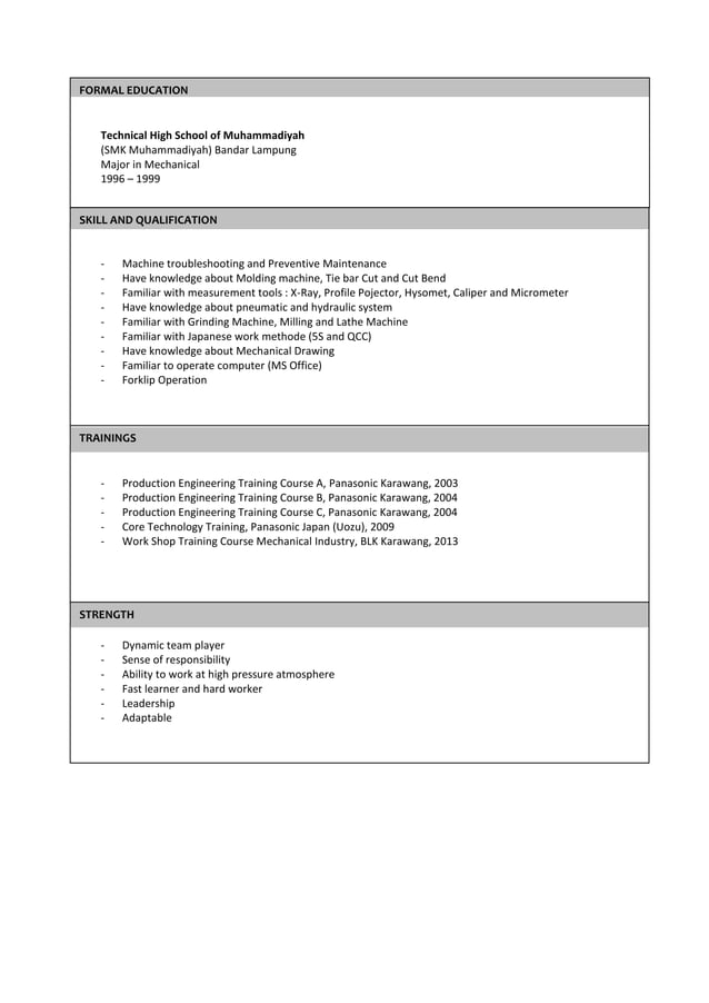 Cv complit | PDF | Manufacturing Industry | Industries