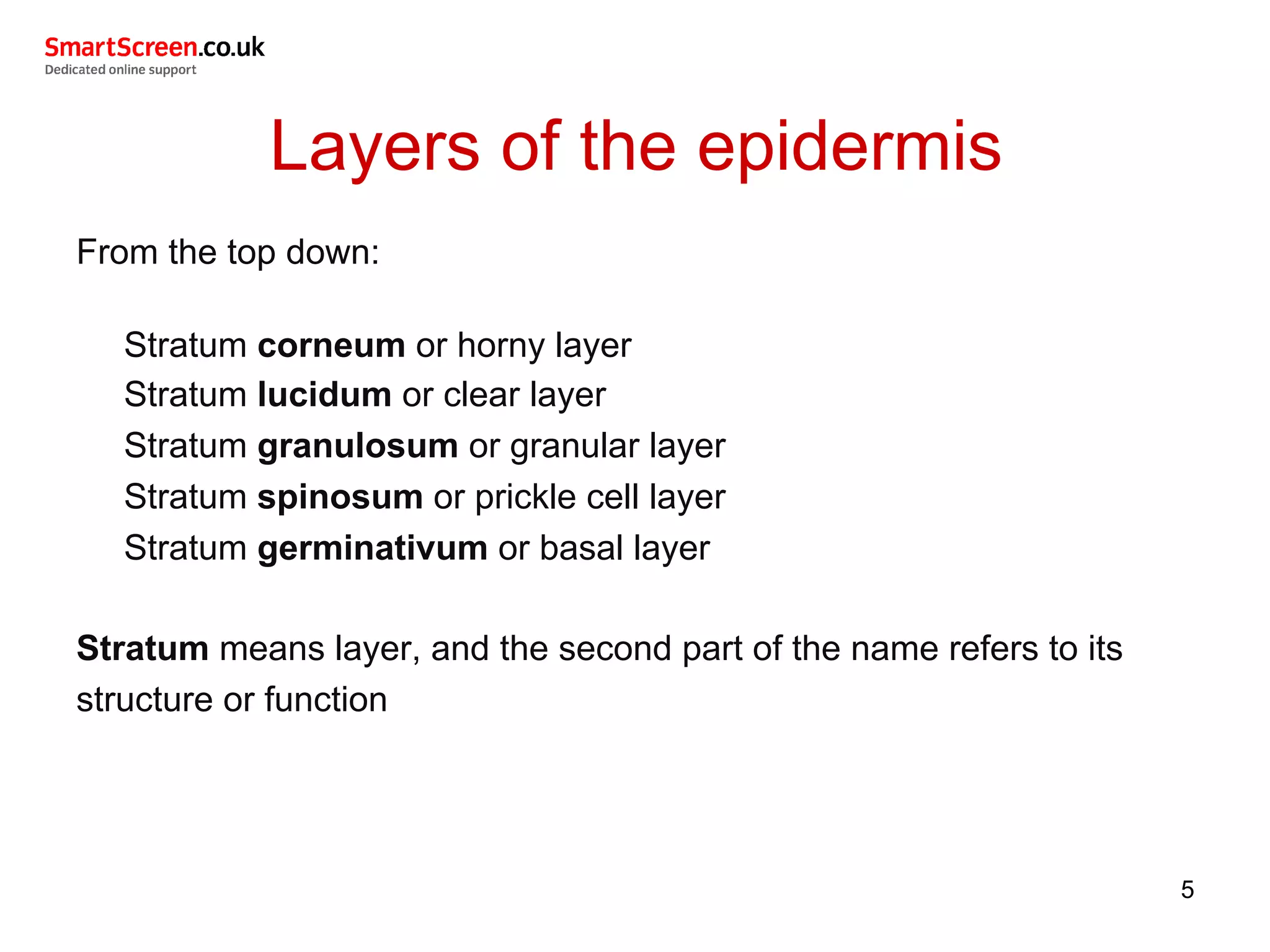 3003 3 321_powerpoint_1-skin | PDF