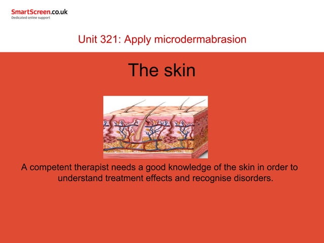 3003 3 321_powerpoint_1-skin | PDF | Skin and Dermatology | Diseases ...