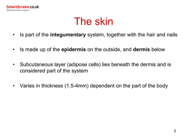 3003 3 321_powerpoint_1-skin | PDF | Skin and Dermatology | Diseases ...