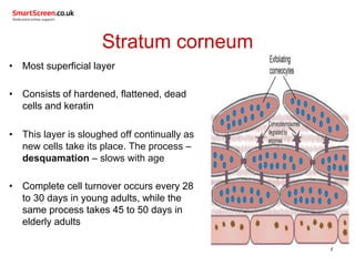3003 3 321_powerpoint_1-skin | PDF