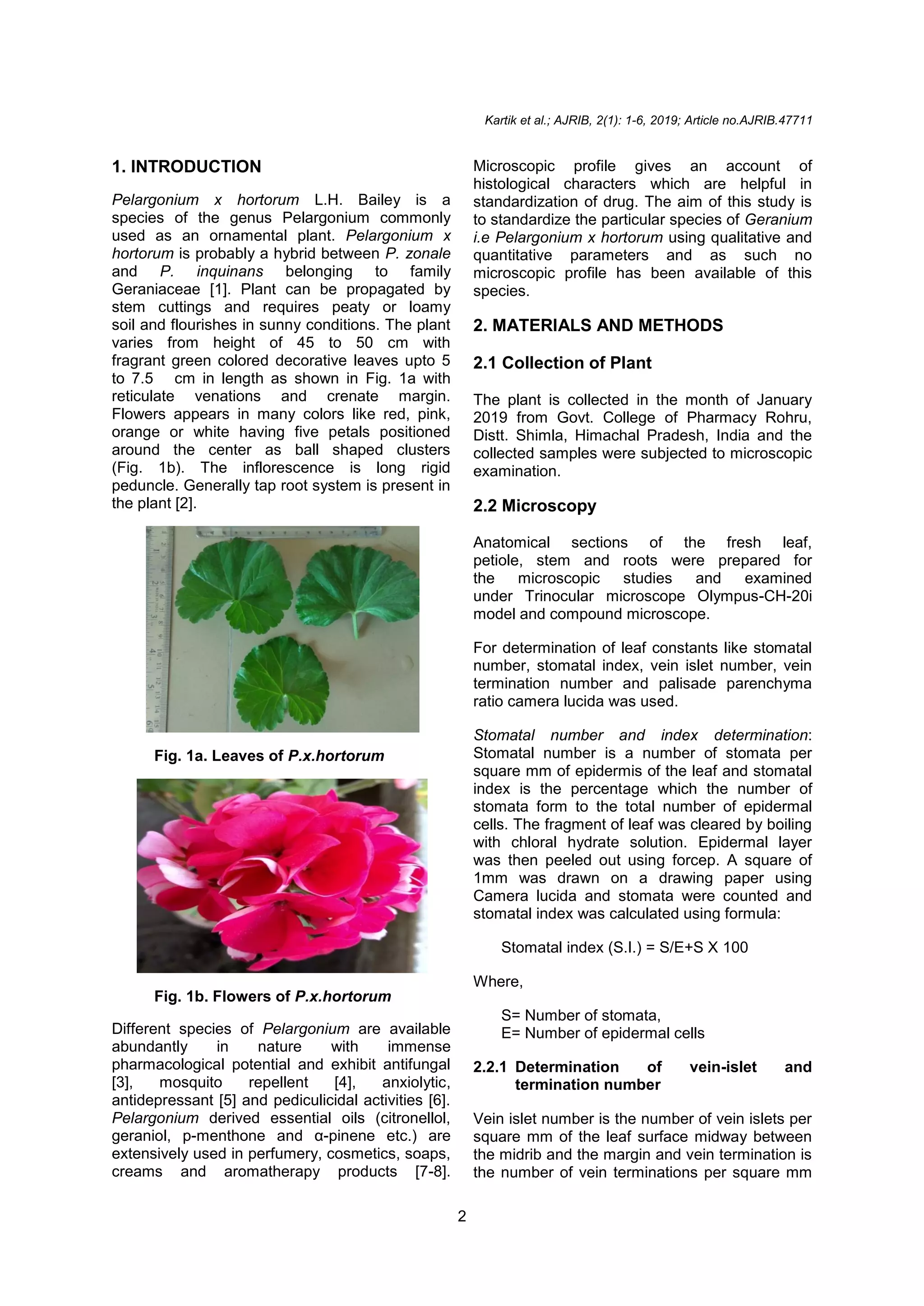 MICROSCOPIC ILLUSTRATIONS OF PELARGONIUM | PDF