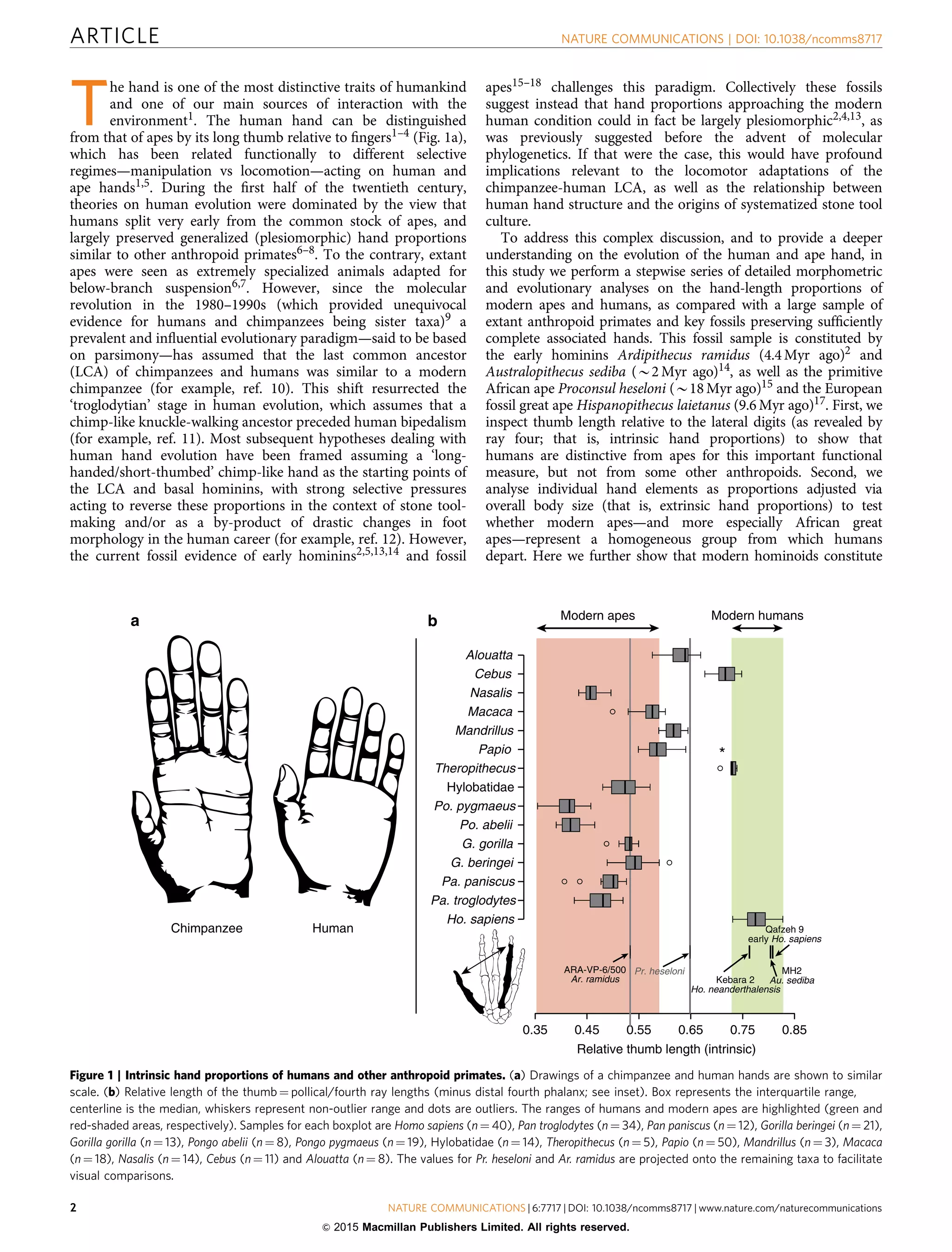 The evolution of human and ape hand proportions | PDF