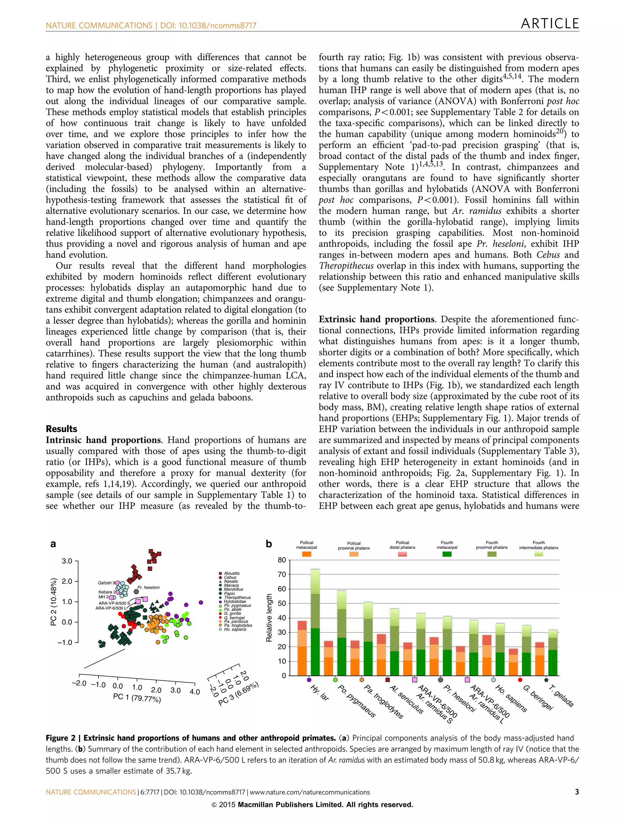 The evolution of human and ape hand proportions | PDF