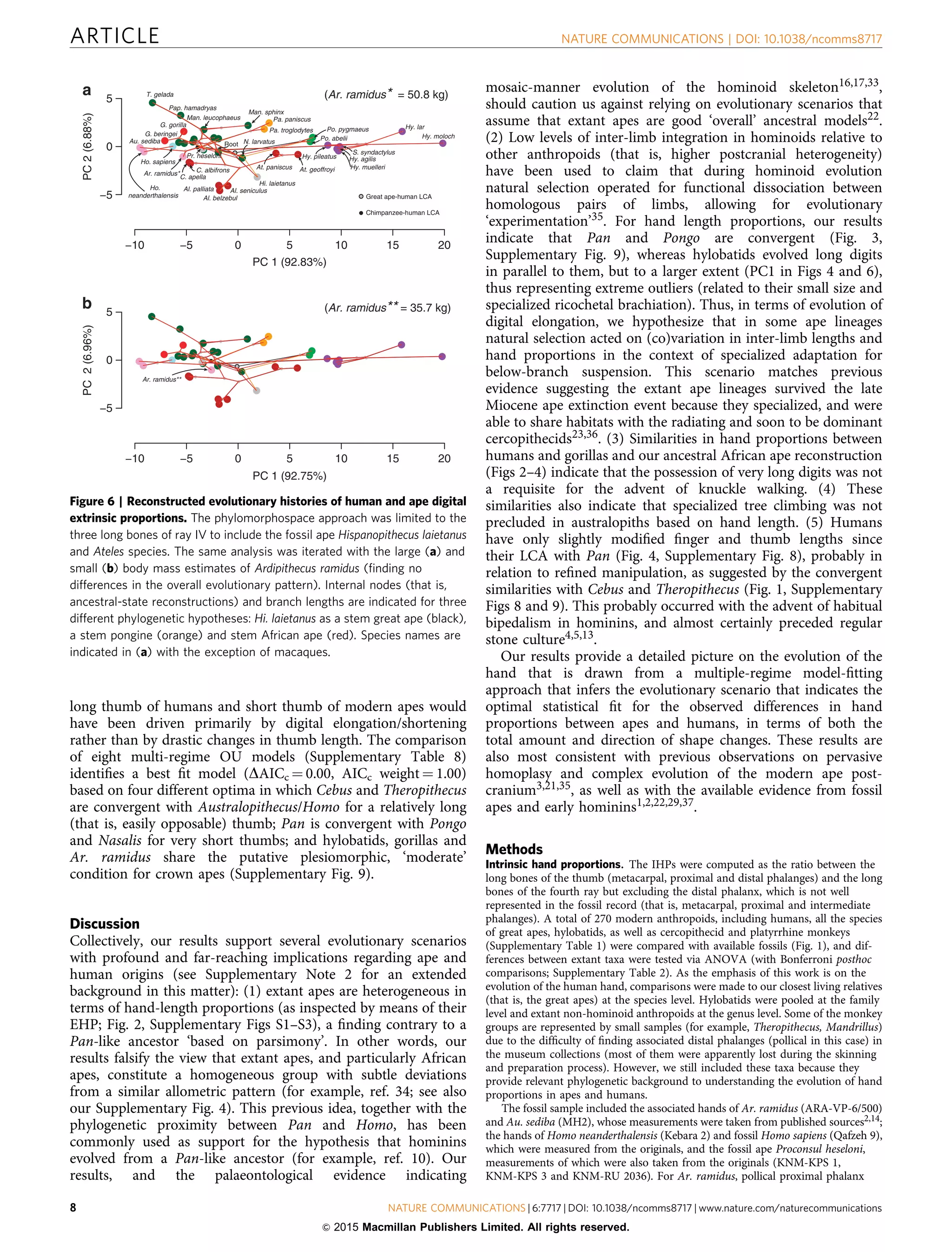 The evolution of human and ape hand proportions | PDF