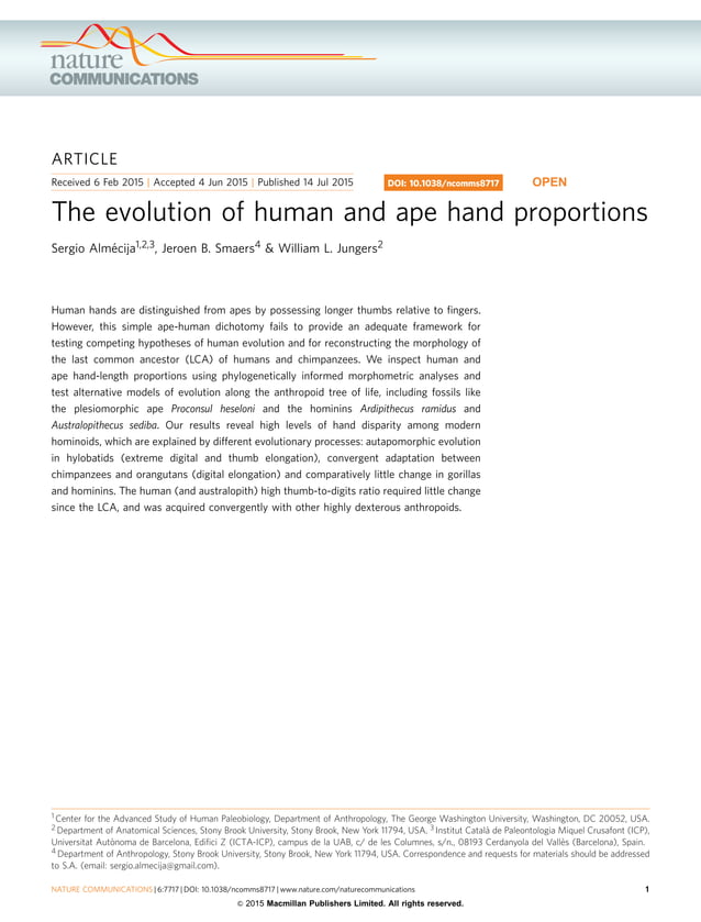 The evolution of human and ape hand proportions | PDF