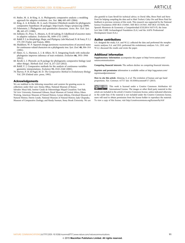 The evolution of human and ape hand proportions | PDF