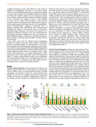 The evolution of human and ape hand proportions | PDF