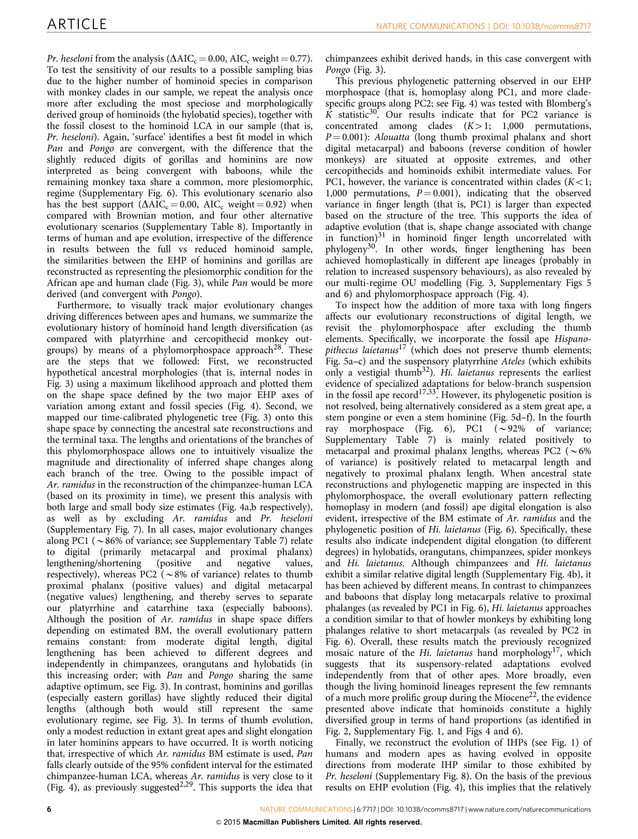 The evolution of human and ape hand proportions | PDF