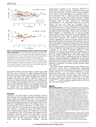 The evolution of human and ape hand proportions | PDF
