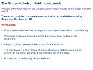 1.3 Membrane Structure | PPTX