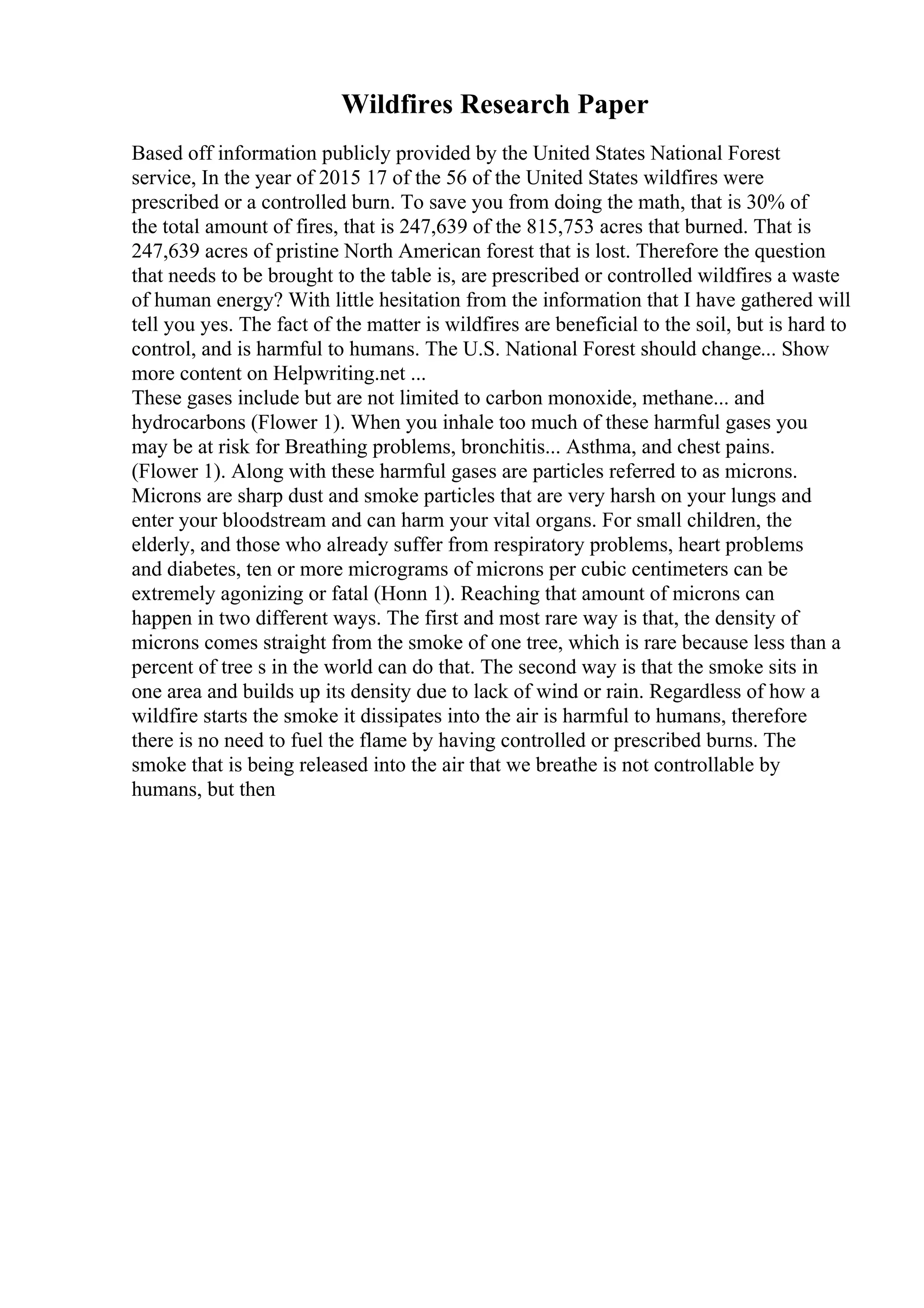 300 Word Essay Example | PDF