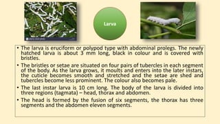 3010320004.ento.4.3.pptx management of beneficial insects | PPTX