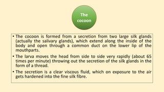 3010320004.ento.4.3.pptx management of beneficial insects | PPT