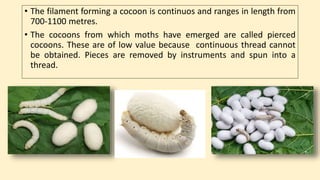 3010320004.ento.4.3.pptx management of beneficial insects | PPT