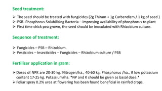 Foundation and certified seed production of varities and hybrids in ...