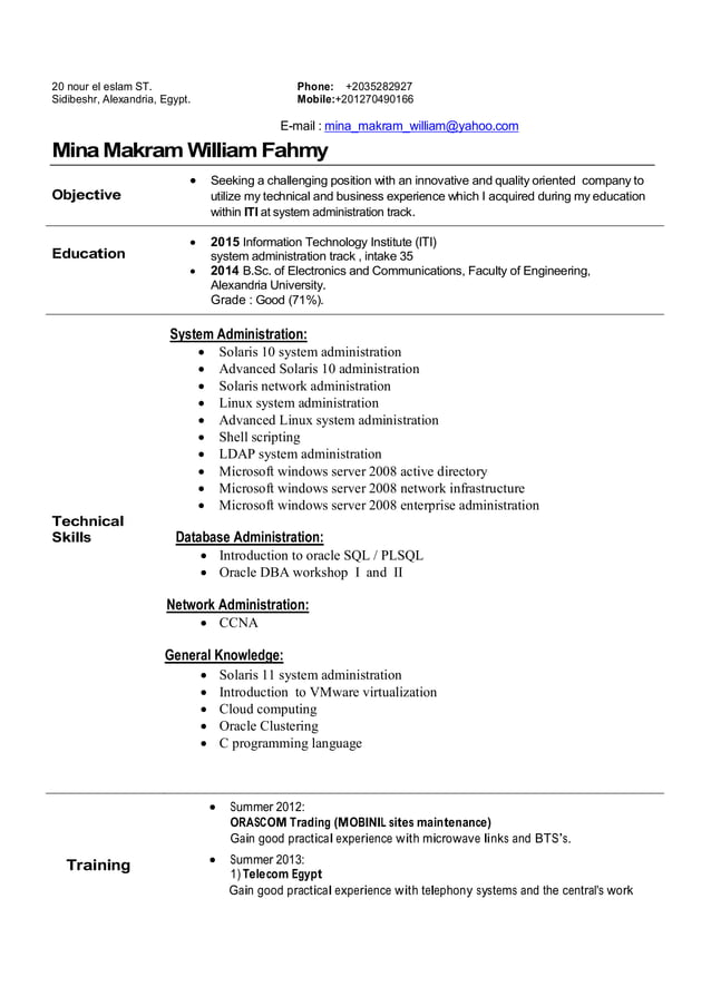 Mina Makram CV | PDF