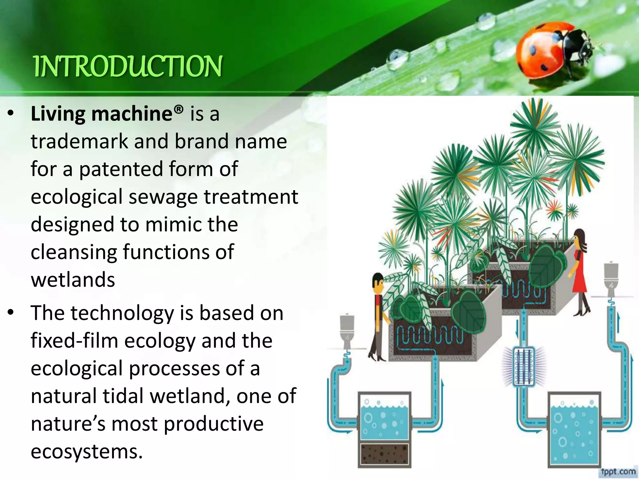 Living machine: The Ecological Wastewater Treatment | PPTX