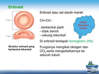 Sistem Peredaran Darah Pada Hewan dan Manusia | PPT