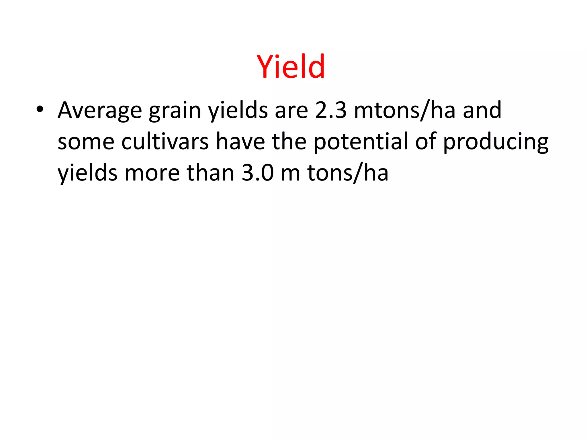 DEEP WATER RICE | PPTX