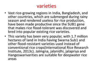 DEEP WATER RICE | PPTX