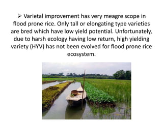 DEEP WATER RICE | PPTX