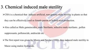 Role of male -sterility in plant breeding | PPTX