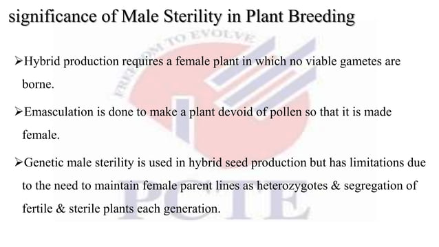 Role of male -sterility in plant breeding | PPTX