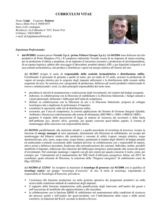 CURRICULUM VITAE 2017-rev 2 | PDF | Power and Energy Industry | Industries