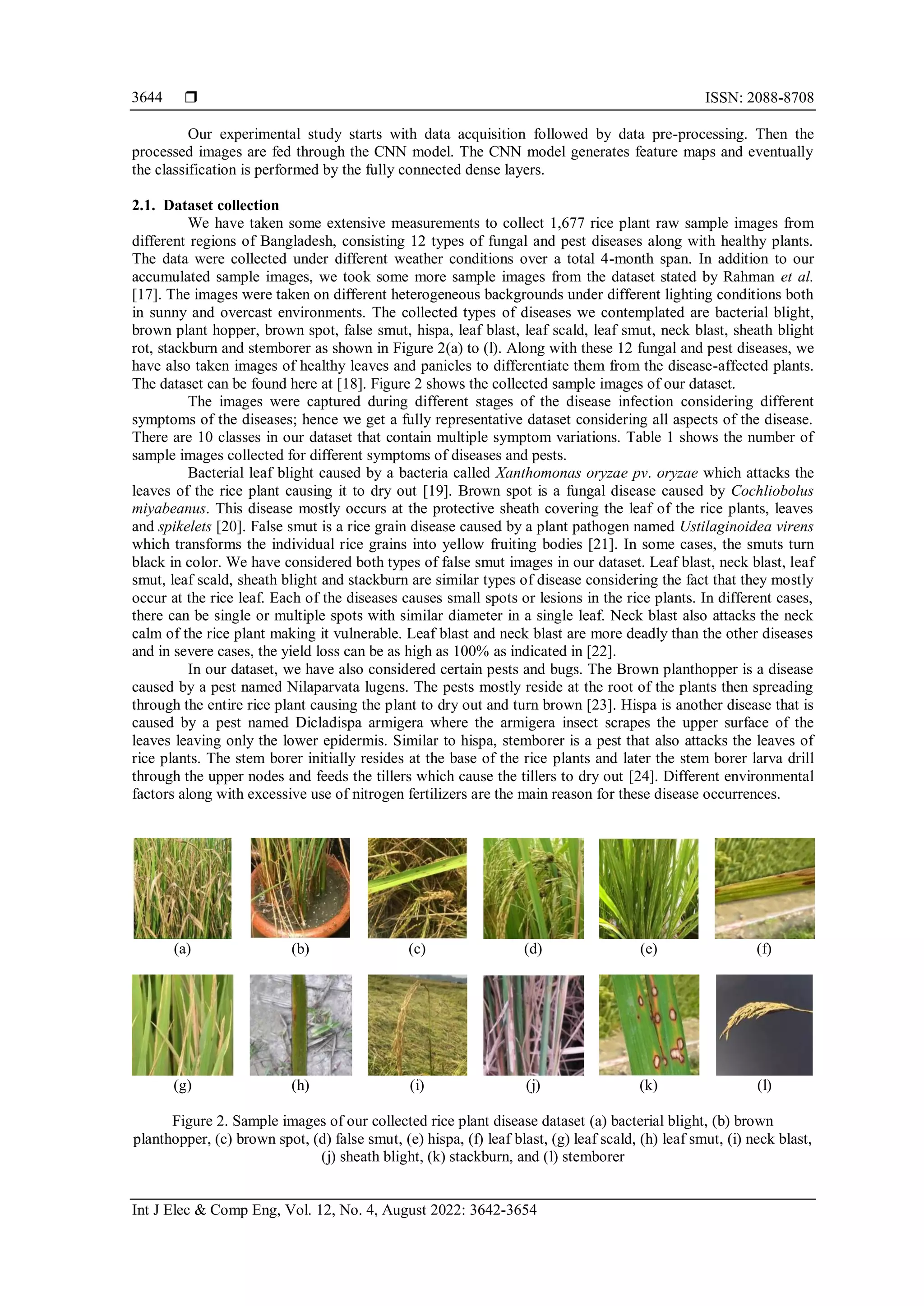 A Classification Model Based On Depthwise Separable Convolutional Neural Network To Identify