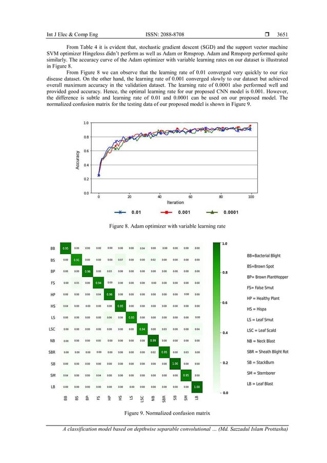 A classification model based on depthwise separable convolutional neural network to identify ...