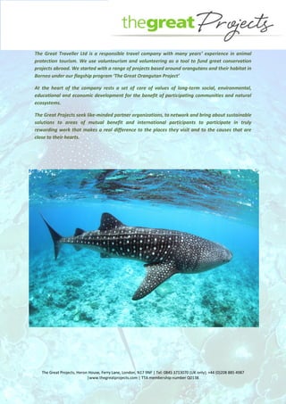 Pre-departure information - Whale Shark Research Project | PDF