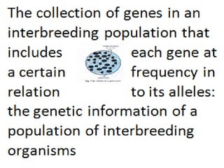 Gene Pool | PPSX