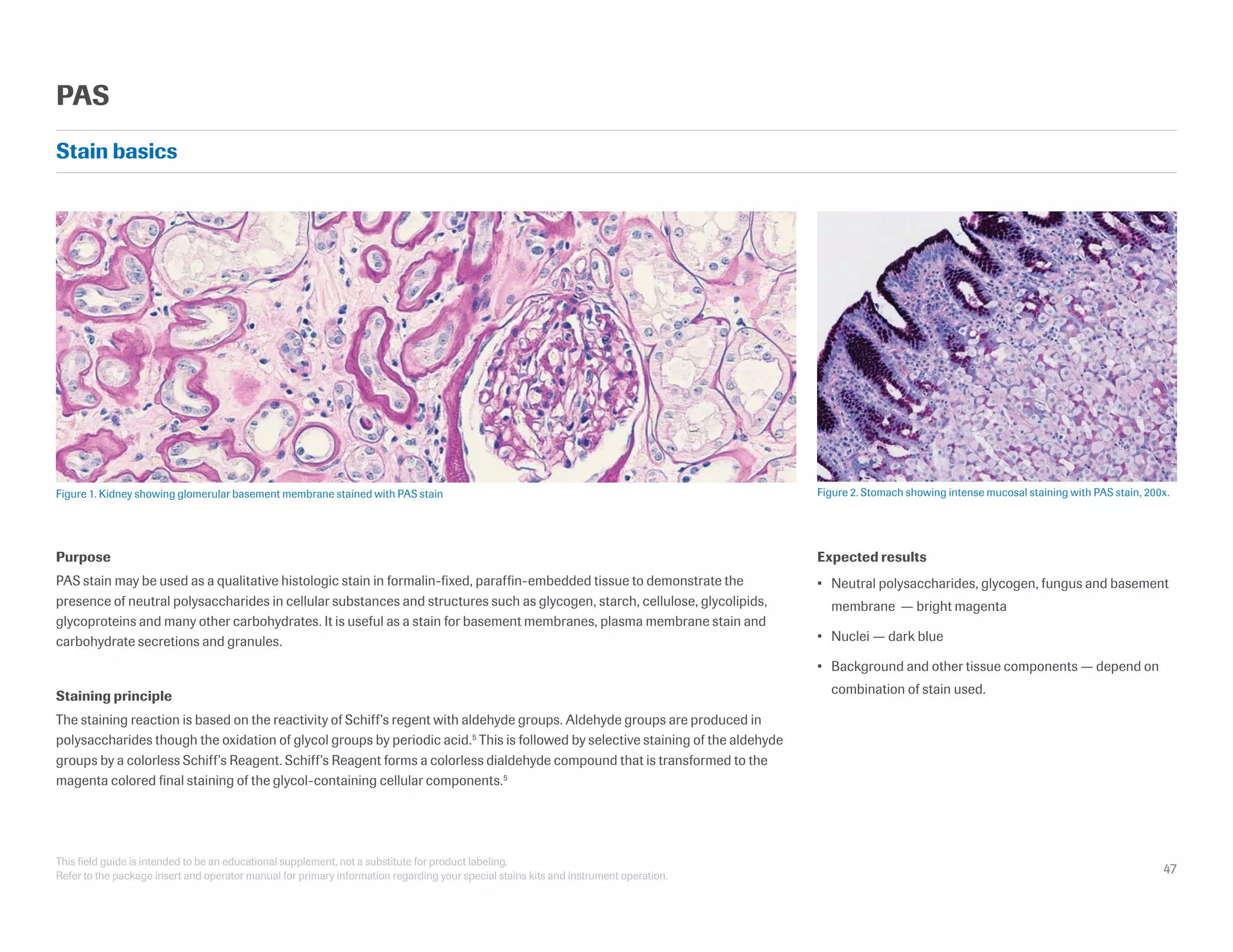 VENTANA BenchMark Special Stains General Reference Guide | PDF