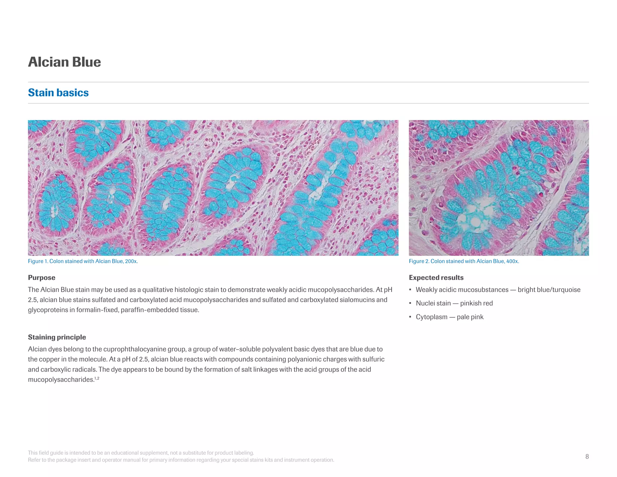 VENTANA BenchMark Special Stains General Reference Guide | PDF