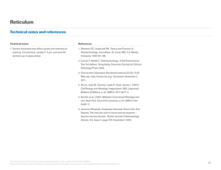 VENTANA BenchMark Special Stains General Reference Guide | PDF