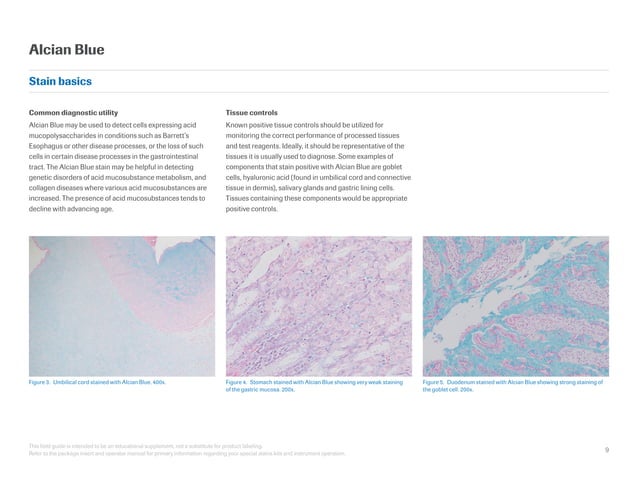 VENTANA BenchMark Special Stains General Reference Guide | PDF ...