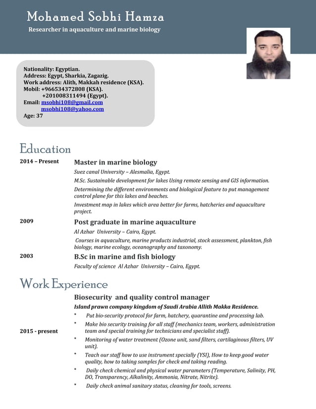 Mohamed Sobhi Hamza CV | PDF