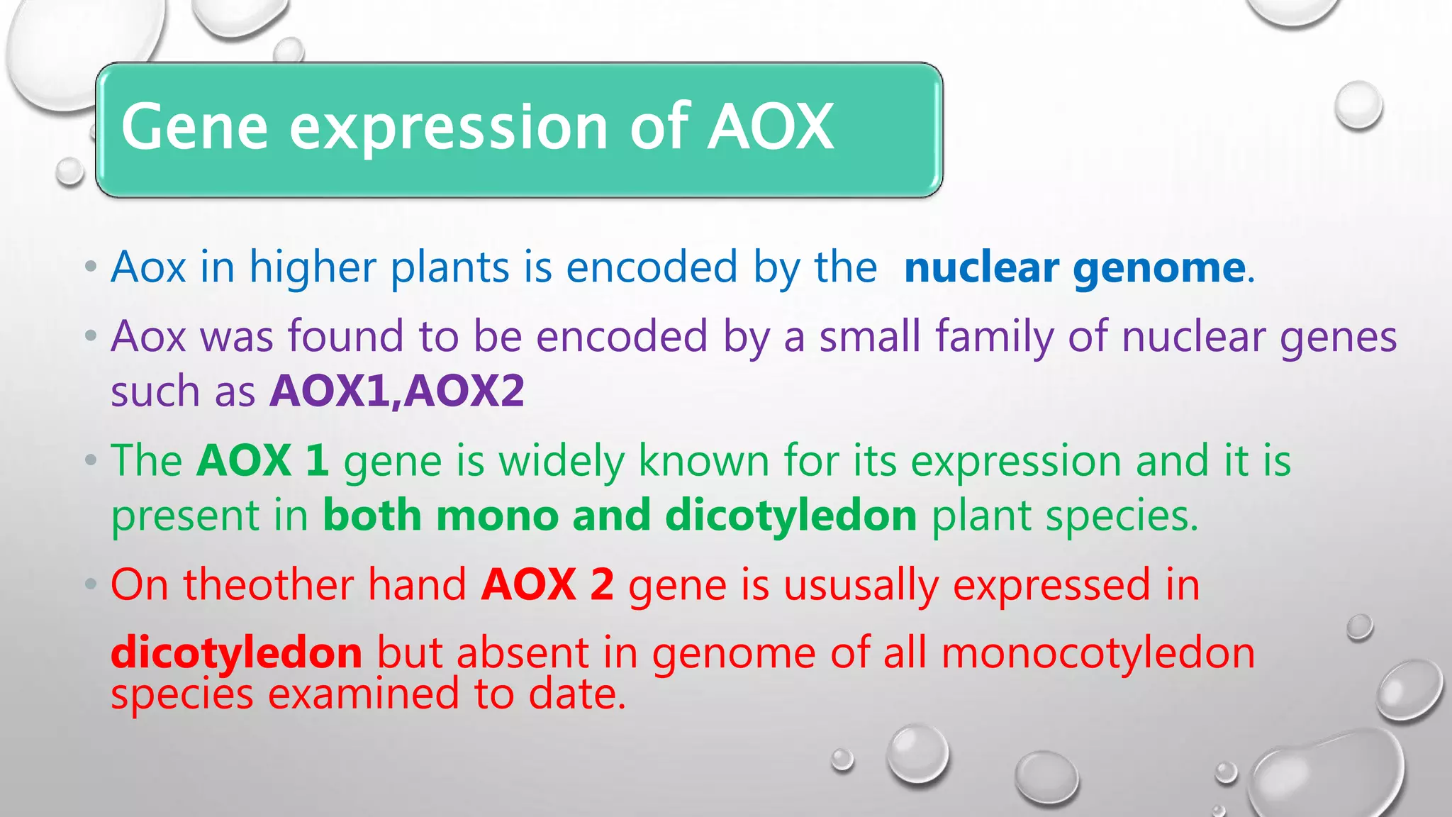 Alternative oxidase | PPTX