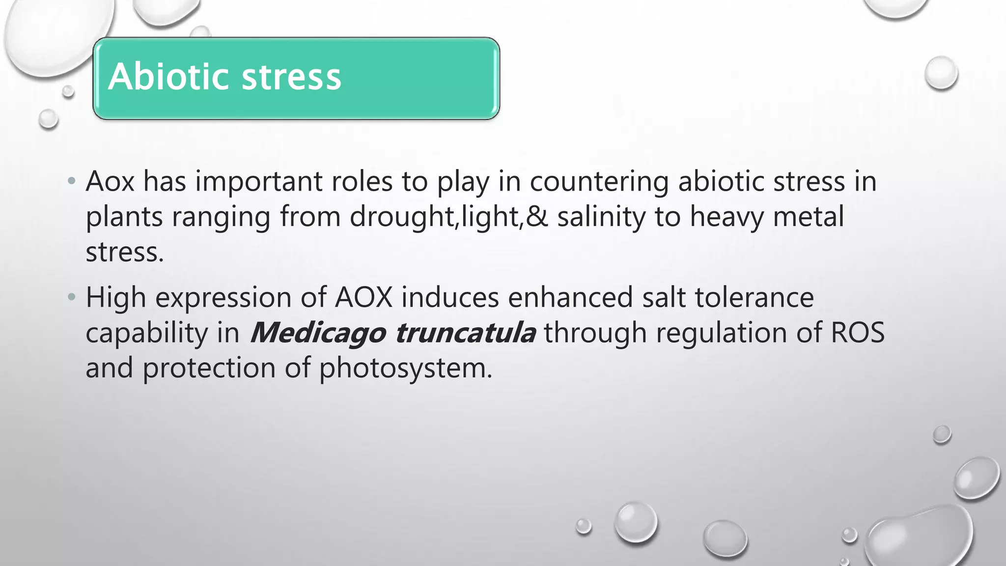 Alternative oxidase | PPTX