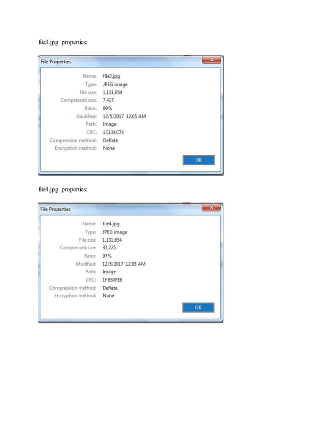 file compression/zip file.report | PDF