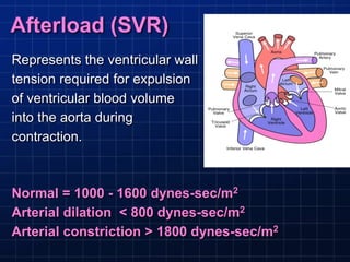 Vasopressors Presentation_final | PPTX