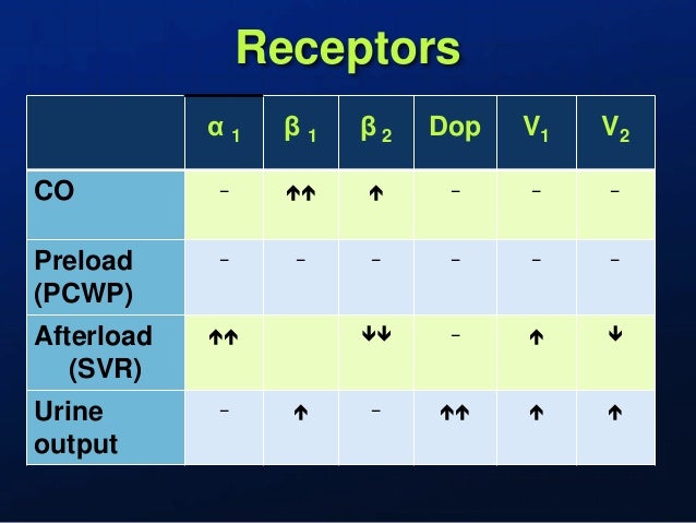 Vasopressors Presentation_final