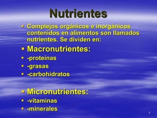 nutricion y salud, desnutricion y anemia | PPT