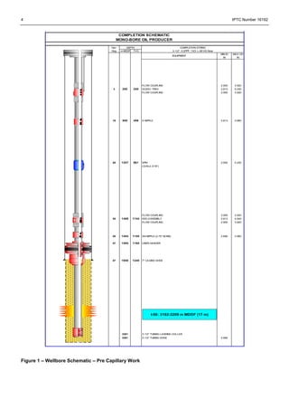 IPTC 16192 Manuscript | PDF