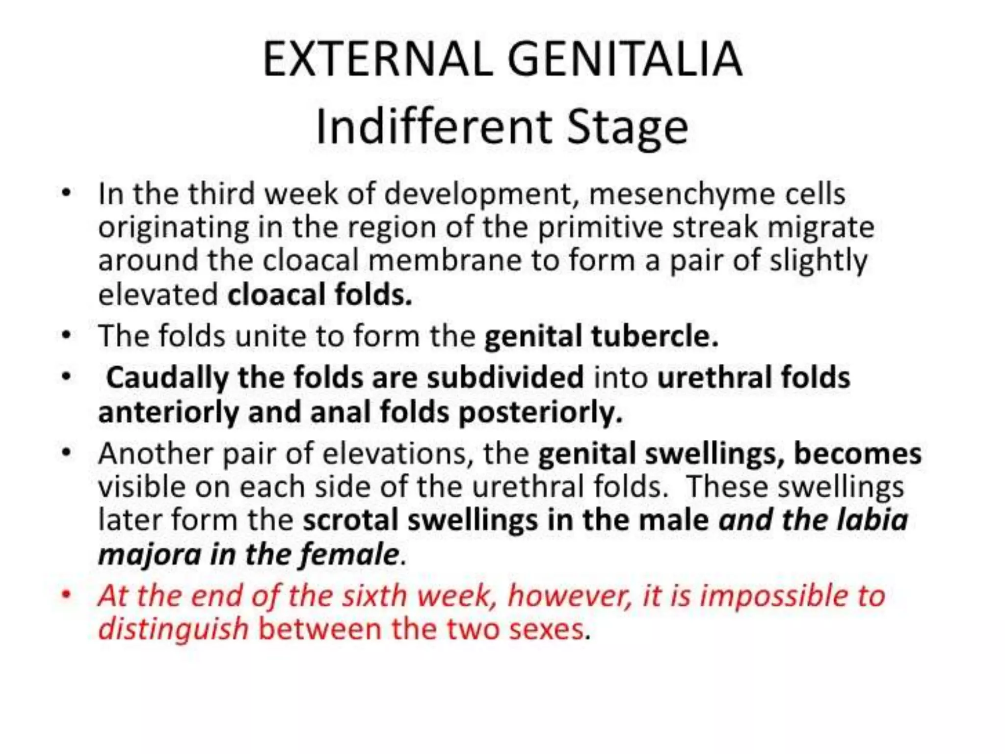 Development of genital system | PPTX
