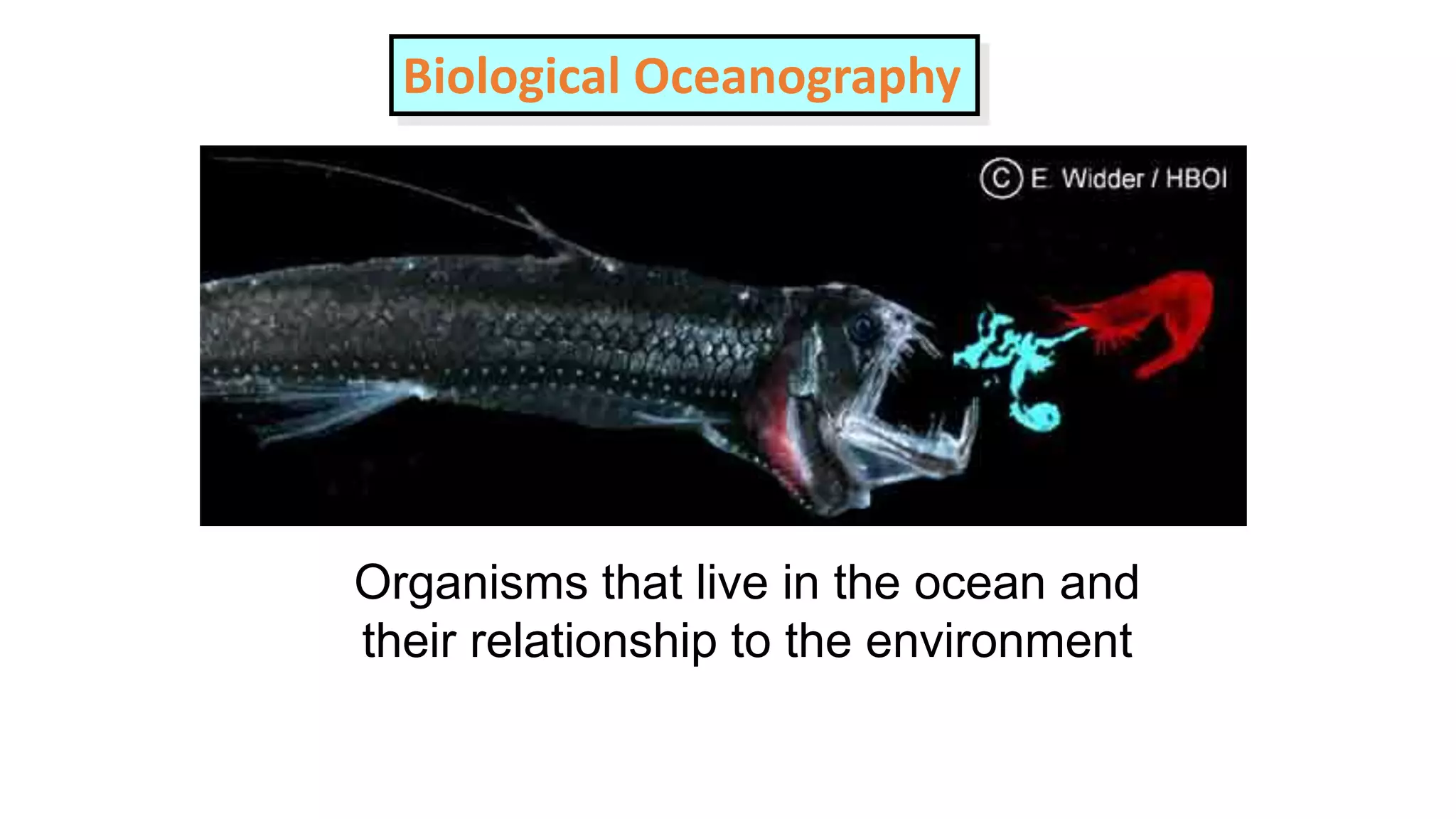 Introduction to Oceanography | PPTX
