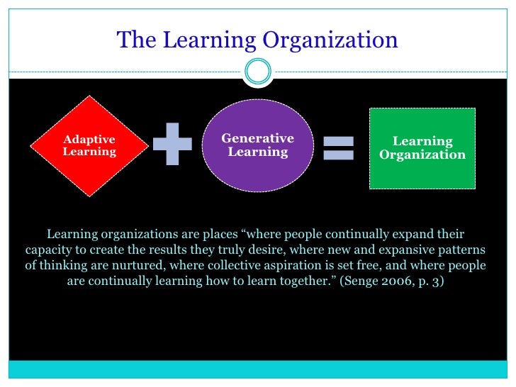 303 learning organization