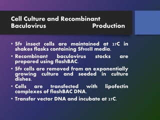 Quantitative Real-Time PCR for Rapid and Accurate Titration of ...