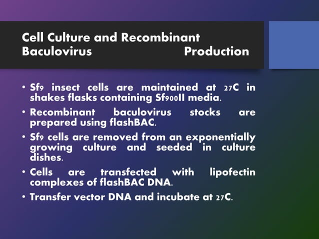 Quantitative Real-Time PCR for Rapid and Accurate Titration of Recombinant Baculovirus Particles ...